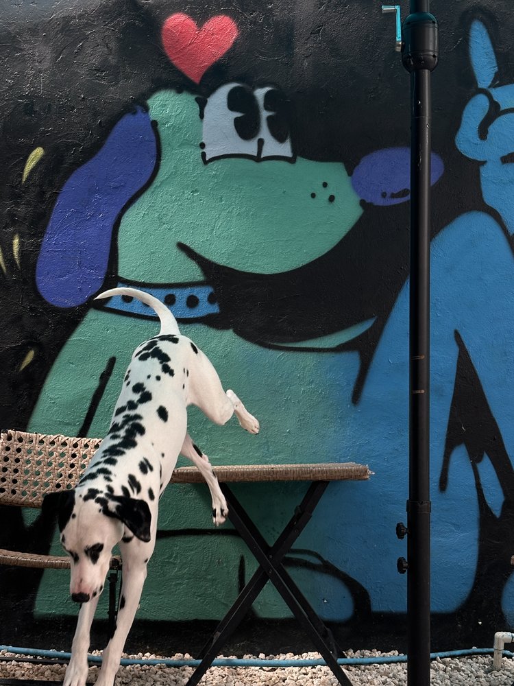 FIFI’S URBAN DOGS - Updated December 2025 - 42 Photos - 132 SW 9th St ...