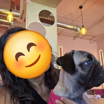 CUPPA PUG - Updated December 2025 - 199 Photos & 82 Reviews - 607 W 9th ...