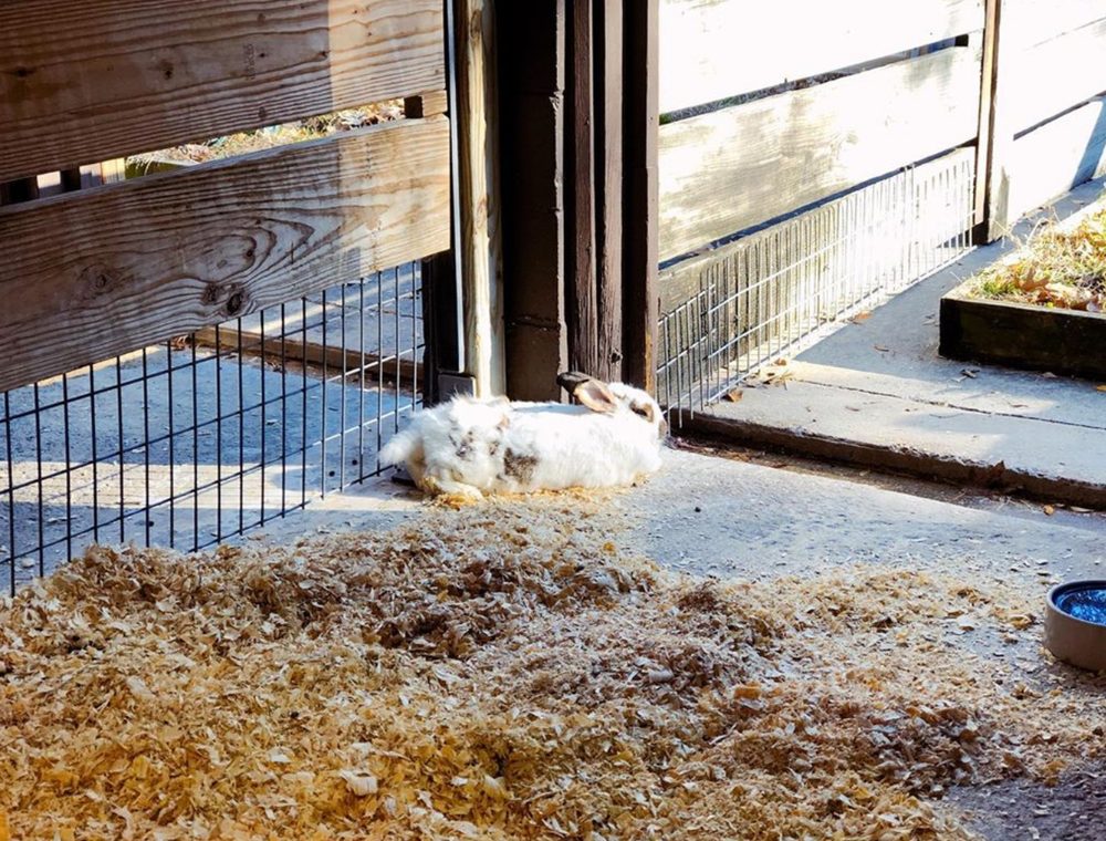 BATON ROUGE ZOO - Updated July 2024 - 414 Photos & 58 Reviews - 3601 ...