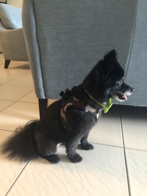 LAVISH DOG SPA - Updated April 2024 - 19 Photos - 3916 Central Sarasota ...