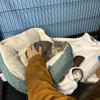 CARE STL - Updated November 2025 - 41 Photos & 13 Reviews - 2700 Walnut ...