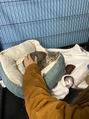 CARE STL - Updated November 2025 - 41 Photos & 13 Reviews - 2700 Walnut ...