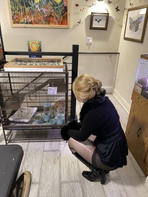 THE INSECT ASYLUM - Updated January 2025 - 26 Photos & 11 Reviews (4.9 ...