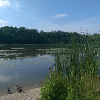 SCOUT LAKE PARK - Updated September 2025 - 23 Photos - 5902 West Loomis ...