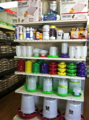 ARIZONA FEEDS COUNTRY STORES - Updated December 2025 - 2701 S 6th Ave ...