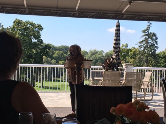 DONALDA CLUB - Updated December 2025 - 11 Photos - 12 Bushbury Drive ...