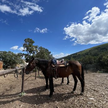 RED PINE ADVENTURES - Updated January 2026 - 80 Photos & 95 Verified ...