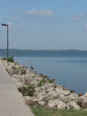 LAKE RAY ROBERTS MARINA - Updated July 2025 - 24 Photos & 13 Reviews ...