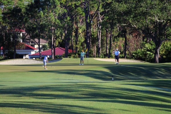 THE NEST GOLF CLUB - Updated October 2024 - 23 Photos - 4450 Pelican's ...