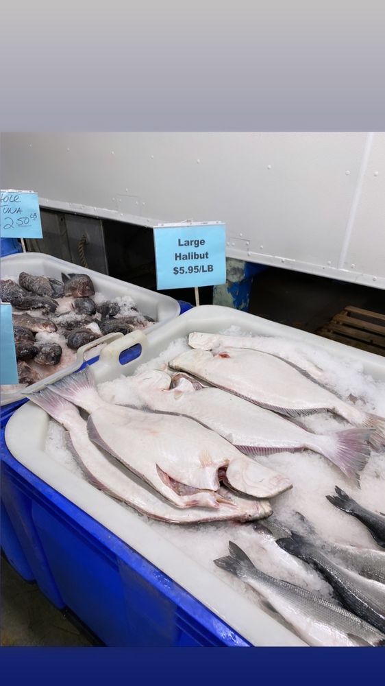 J DELUCA FISH COMPANY - Updated December 2025 - 56 Photos & 17 Reviews ...