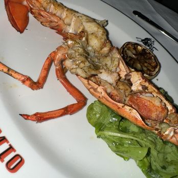 IL PREMIO - Updated October 2025 - 100 Photos & 38 Reviews - 800 Rankin ...