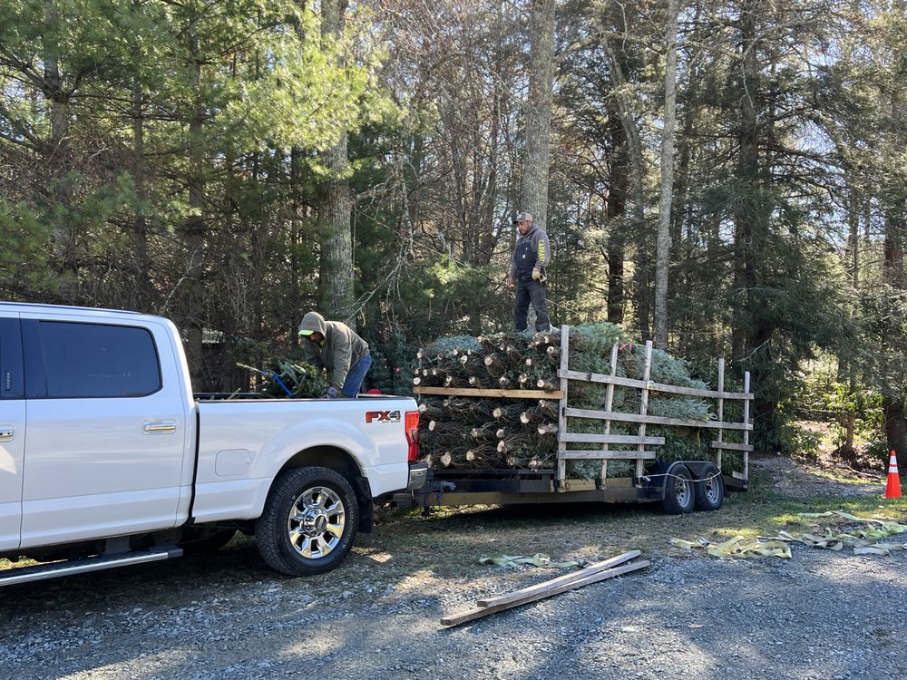 THE CHRISTMAS TREE LOT - Updated August 2025 - 16 Photos - 702 Mt ...