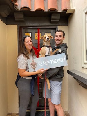 ALEX YU TEAM - FIRST TEAM REAL ESTATE - Updated October 2025 - 34 ...