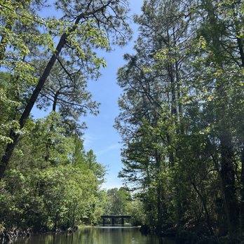 GULF COAST GATOR RANCH & TOURS - Updated December 2025 - 241 Photos ...