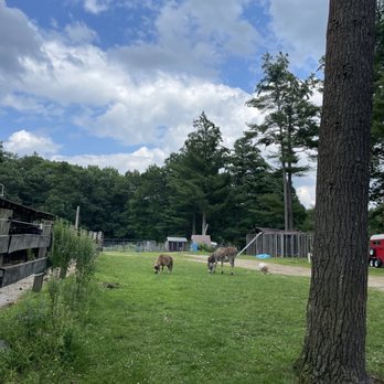 BOBBY’S RANCH - Updated December 2025 - 94 Photos & 101 Reviews - 6 ...