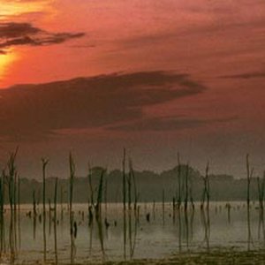 ATTERBURY SHOOTING COMPLEX - Updated June 2025 - 22 Reviews - 4250 E ...