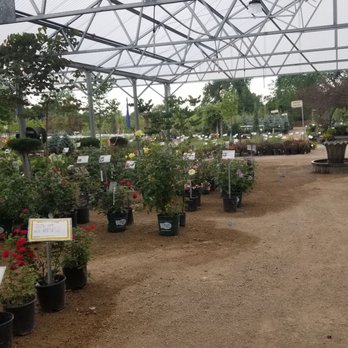 FORT COLLINS NURSERY - Updated October 2025 - 41 Photos & 33 Reviews ...