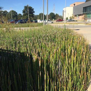EBRPL MAIN LIBRARY - BATON ROUGE - Updated September 2025 - 93 Photos ...