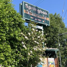 SPRINGBOK BAR & GRILL - Updated December 2025 - 443 Photos & 806 ...
