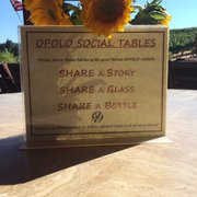 OPOLO VINEYARDS - Updated October 2025 - 828 Photos & 641 Reviews ...