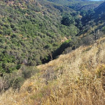 DRIPPING SPRINGS CAMPGROUND - Updated October 2025 - 82 Photos & 55 ...