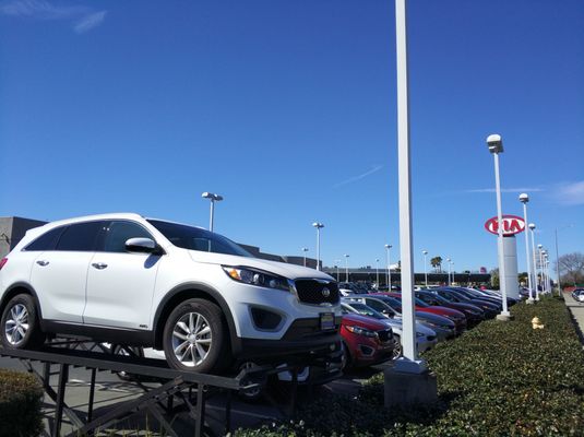 HANLEES DAVIS KIA - Updated December 2025 - 17 Photos & 103 Reviews ...
