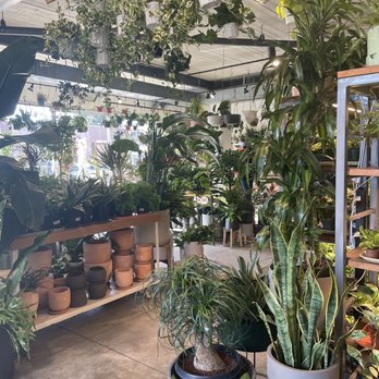 SPROUT HOME - Updated October 2025 - 206 Photos & 230 Reviews - 745 N ...