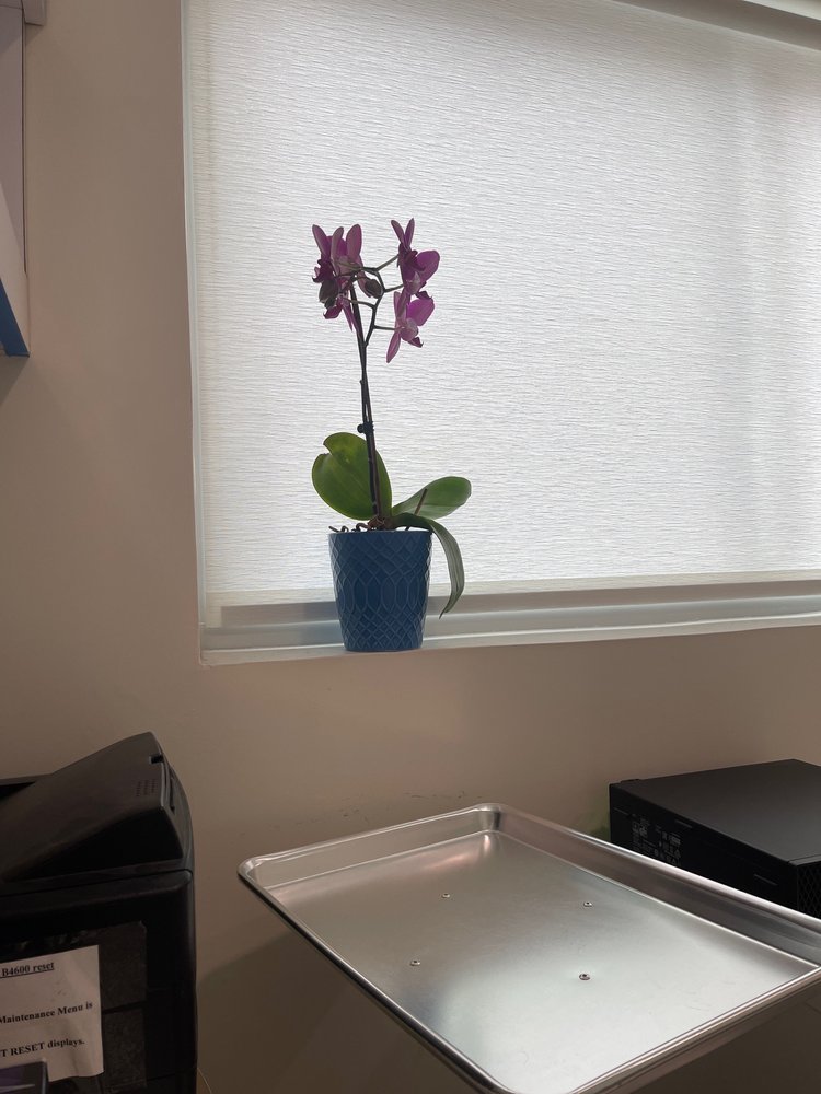 MICHAEL SAMPSON, MD - Updated October 2025 - 35 Reviews - 3919 Beverly ...