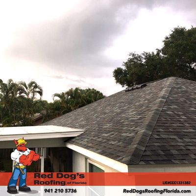 RED DOG’S ROOFING OF FLORIDA - Updated August 2025 - 93 Photos & 13 ...