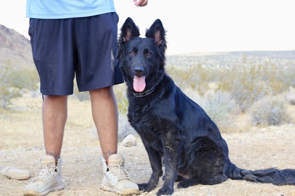 DR. BUTCHKO - Updated May 2025 - 44 Photos & 84 Reviews - 5448 Mission ...