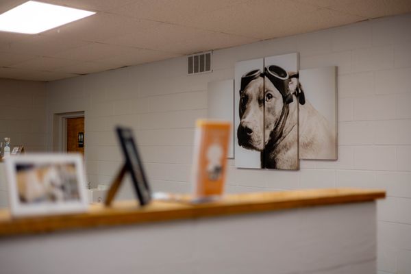 NICHOLS VETERINARY CLINIC - Updated October 2025 - 21 Photos & 70 ...