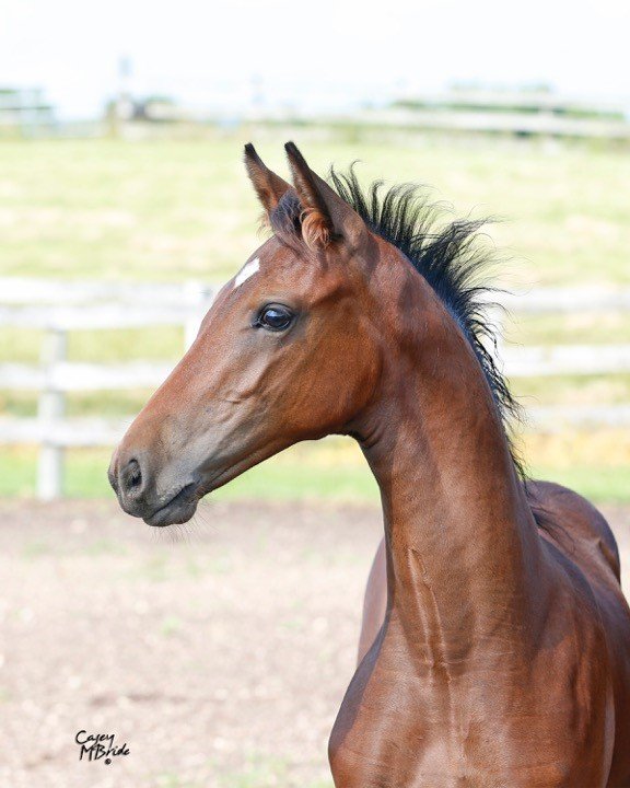 HYLEE FARM - Updated November 2024 - 21 Photos - 3460 County Hwy Jg ...