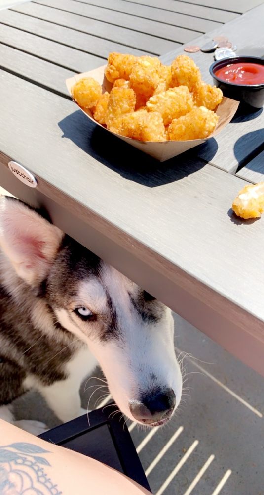 TICKLE MY RIBS - Updated June 2025 - 33 Photos & 56 Reviews - 6640 Old ...