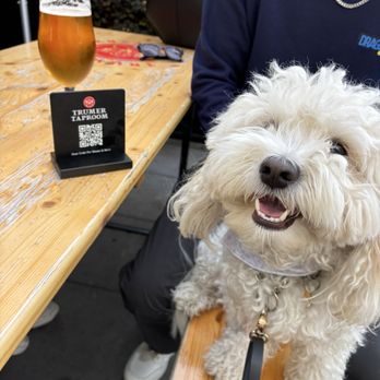 TRUMER BREWERY - Updated October 2025 - 198 Photos & 90 Reviews - 1404 ...