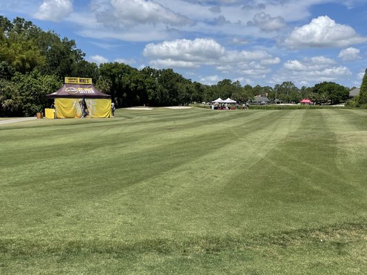 WESTCHASE GOLF CLUB - 48 Photos & 23 Reviews - Golf - 11602 Westchase ...