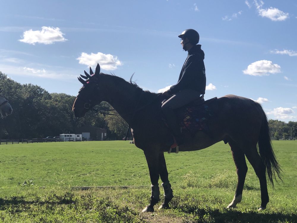 BARRINGTON EQUINE CENTER - Updated December 2025 - 25718 W Il Route 22 ...