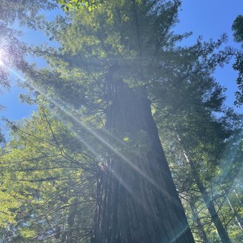 STANDISH-HICKEY STATE RECREATION AREA - Updated January 2026 - 71 ...