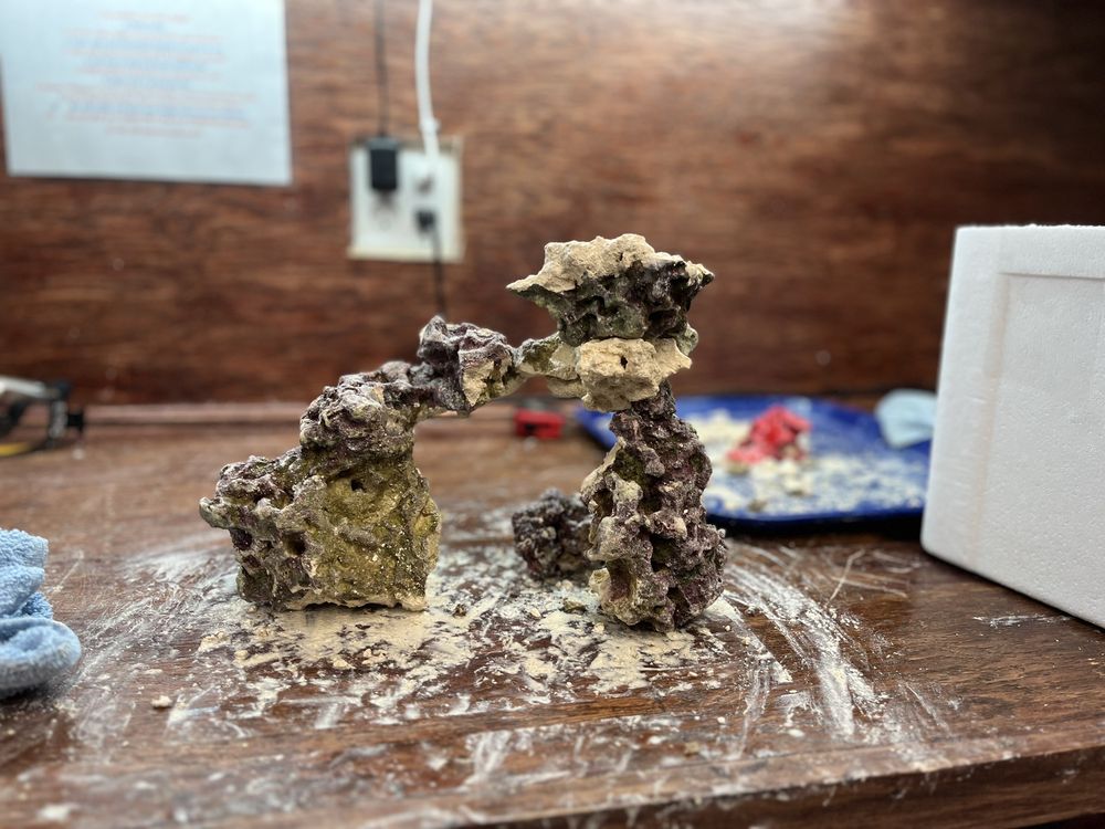 REEF ESCAPE - Updated October 2025 - 36 Photos & 43 Reviews - 11147 ...