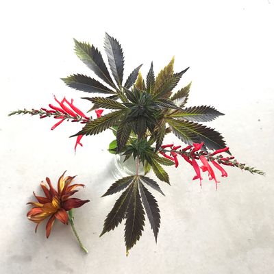 MOSS CROSSING - Updated September 2024 - 39 Photos & 46 Reviews - 2751 ...