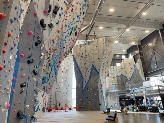 MOVEMENT PLANO - Updated May 2024 - 79 Photos & 43 Reviews - 525 ...