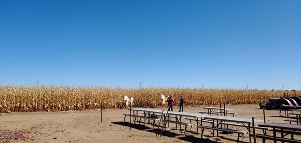 MILLER FARMS - 83 Photos & 62 Reviews - 9040 Hwy 66, Platteville, CO - Yelp