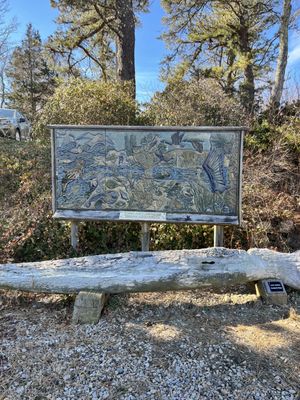 CAPE COD MUSEUM OF NATURAL HISTORY - Updated December 2025 - 42 Photos ...