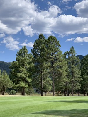ELEPHANT ROCK GOLF COURSE - Updated July 2024 - 28 Photos & 34 Reviews ...