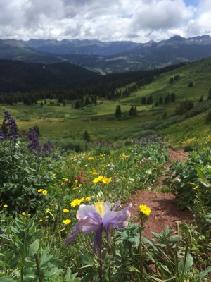 ENGINEER MOUNTAIN TRAIL - Updated December 2025 - Hwy 550, Durango ...