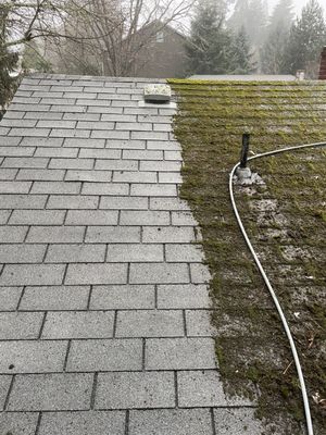 MOSS SOLUTIONS - Updated May 2025 - 43 Photos & 21 Reviews - Portland ...