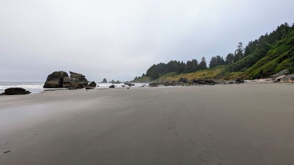 MOTEL TREES - Updated August 2025 - 57 Photos & 72 Reviews - 15495 Hwy ...