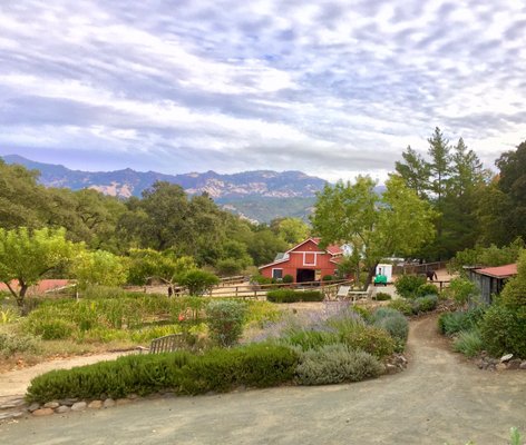 MEADOWLARK COUNTRY HOUSE - 48 Photos & 90 Reviews - 601 Petrified ...