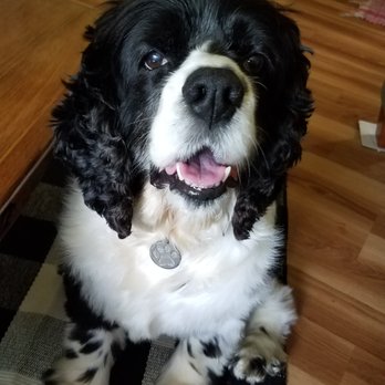 NOAH PROJECT - Updated September 2025 - 10 Photos - 5205 Airline Rd ...