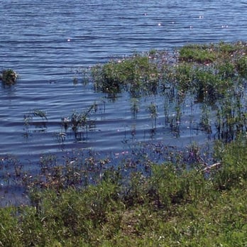 LAKE WILLASTEIN PARK - Updated December 2025 - 22 Photos - Lake ...