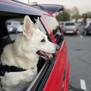 EG AUTO CENTER - Updated May 2024 - 15 Photos & 19 Reviews - 2276 US ...